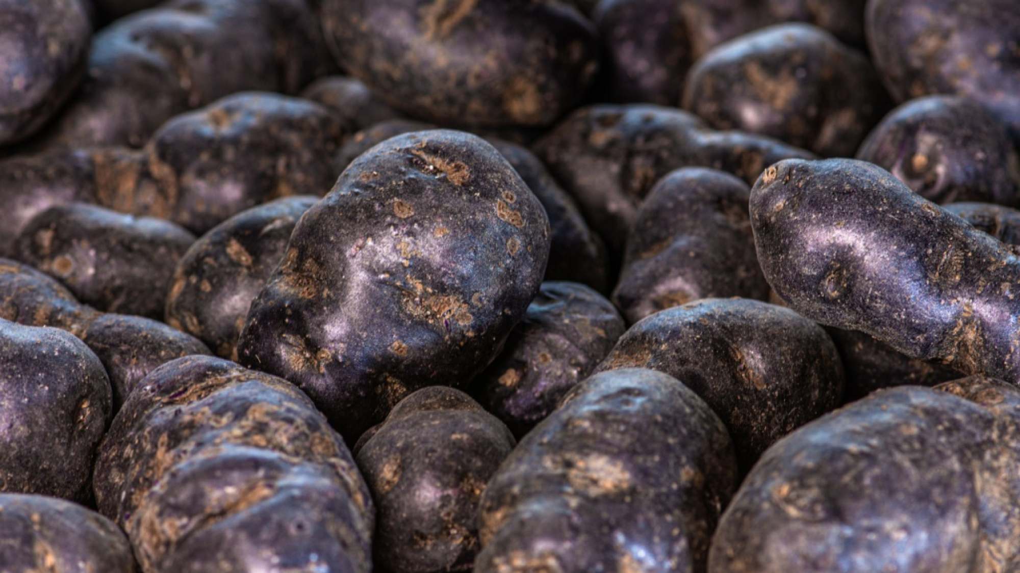 Papas Chilotas: Delicioso Tesoro de la Gastronomía Chilena - Qué ...