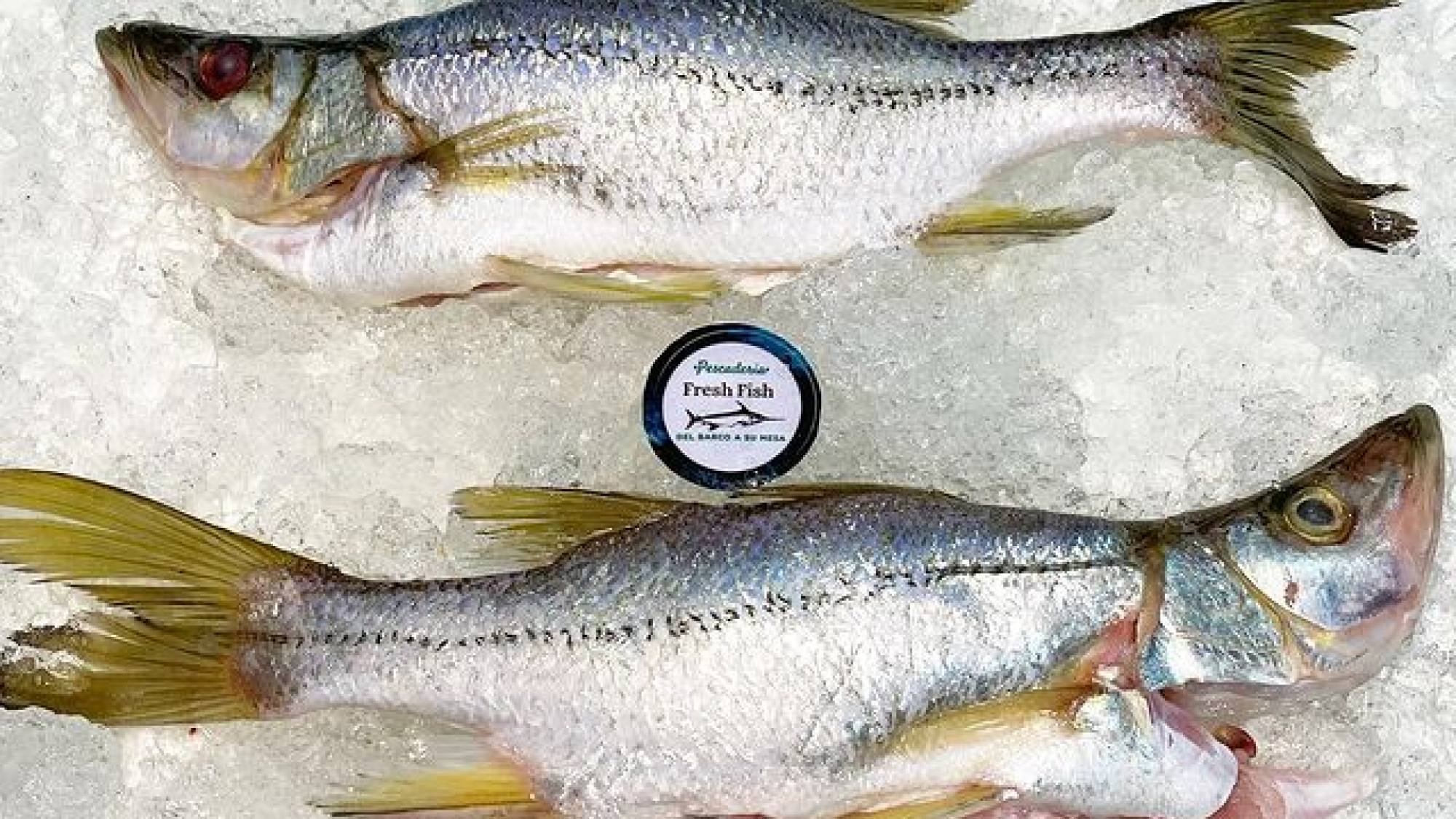 Robalo: Un Pescado Blanco Sabroso y Versátil - Qué cocinar hoy