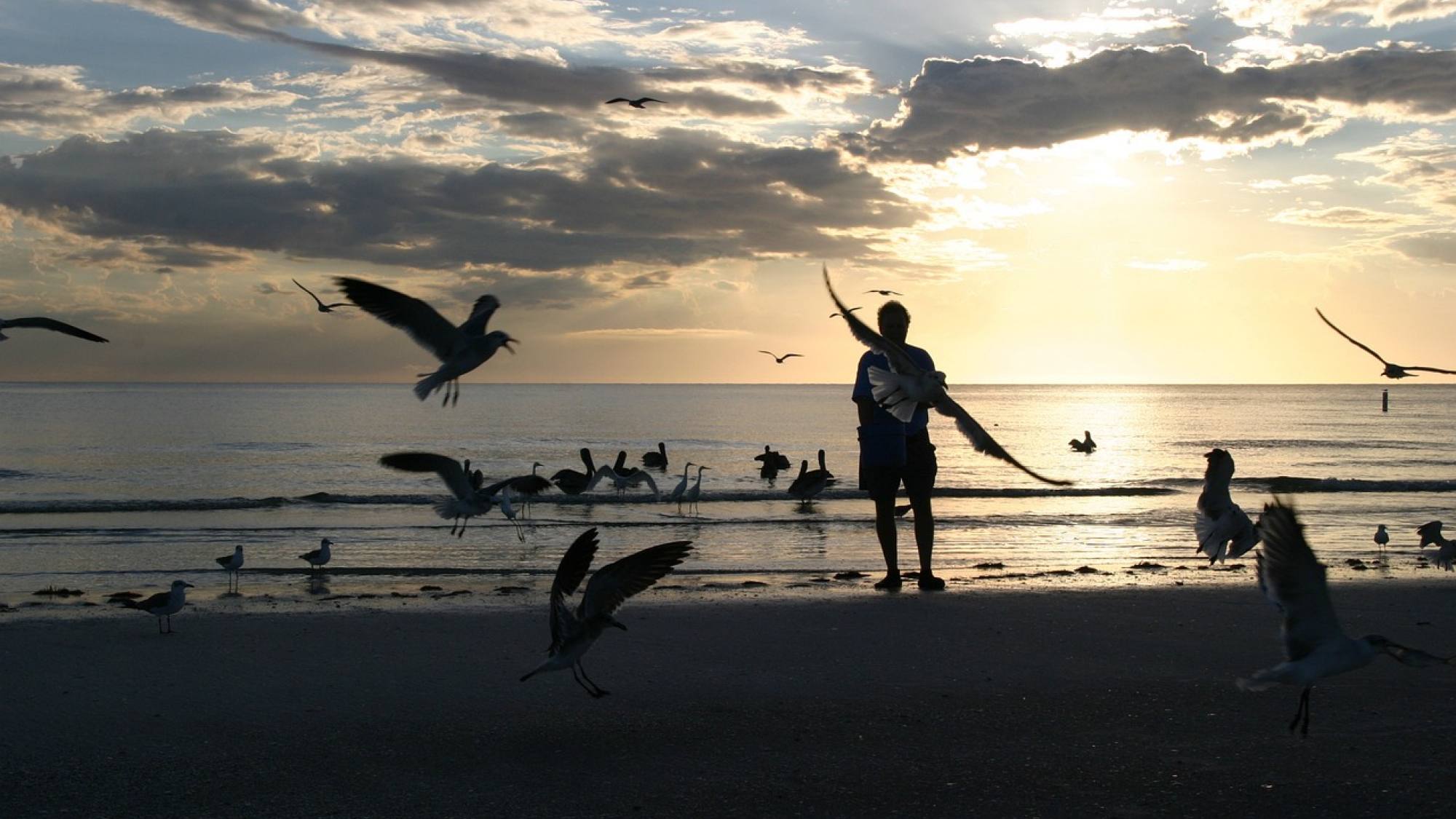 Piure: Un Manjar Marino Delicado y Nutritivo - Qué cocinar hoy
